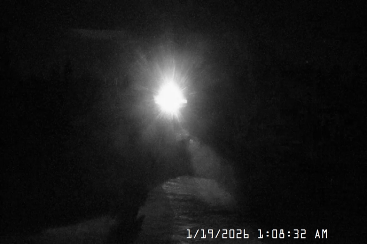 Mount Hood Webcams | Chocolatkey